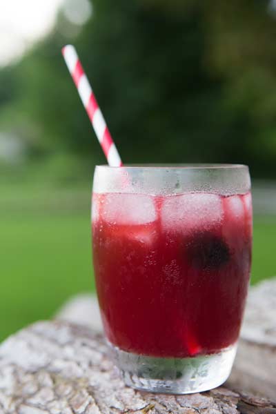 Blackberry Punch Recipe